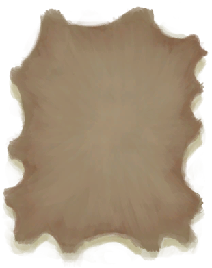 Card Survival Wiki
